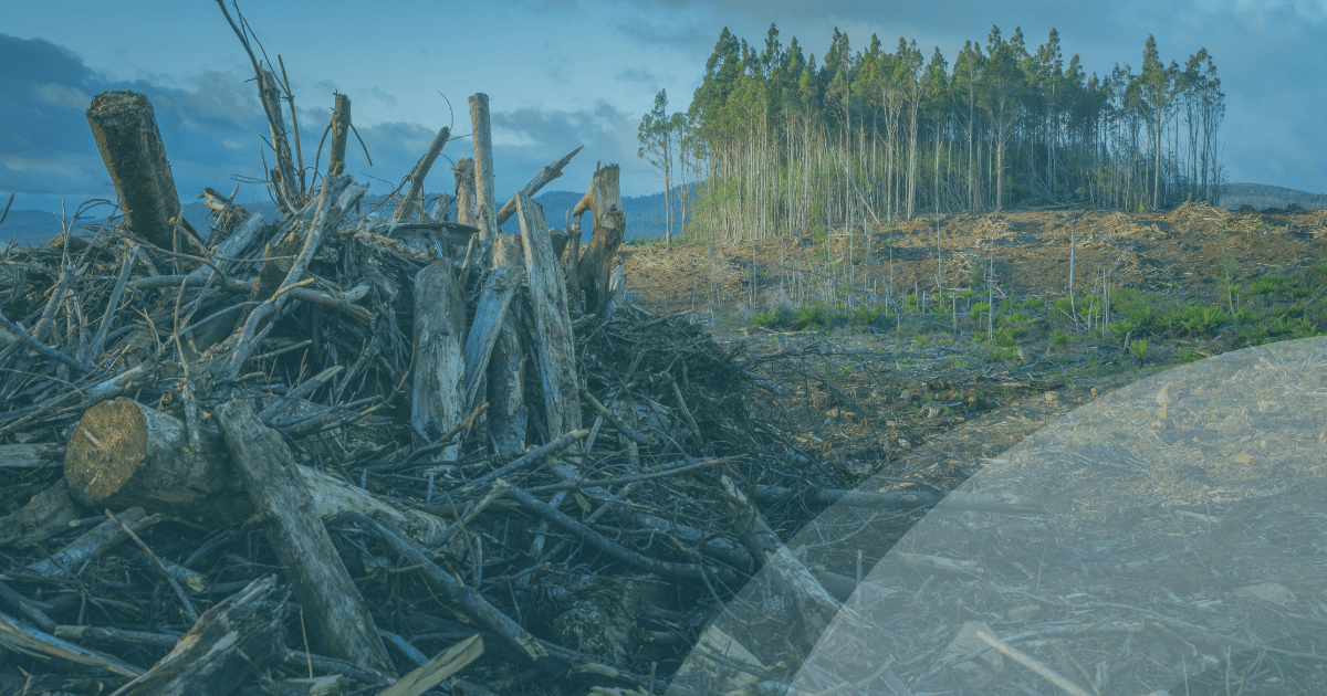 OSINT and Environmental Investigations